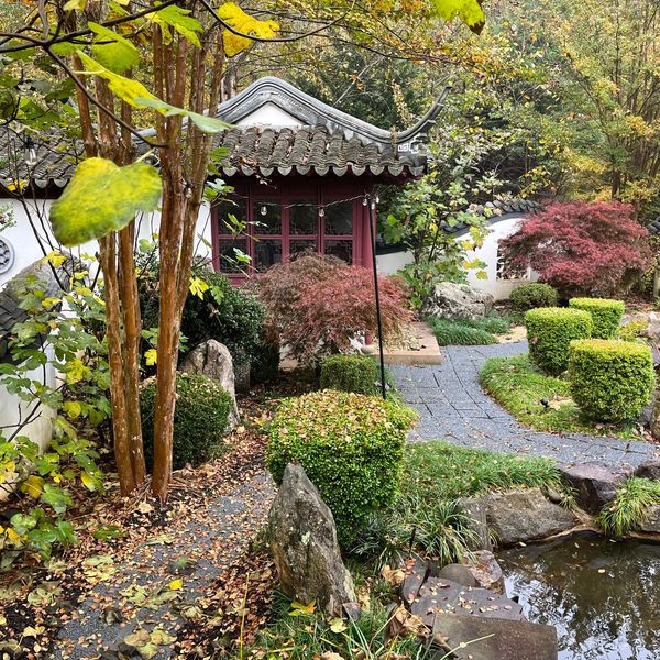 Weddings - Dragon Wall Estate