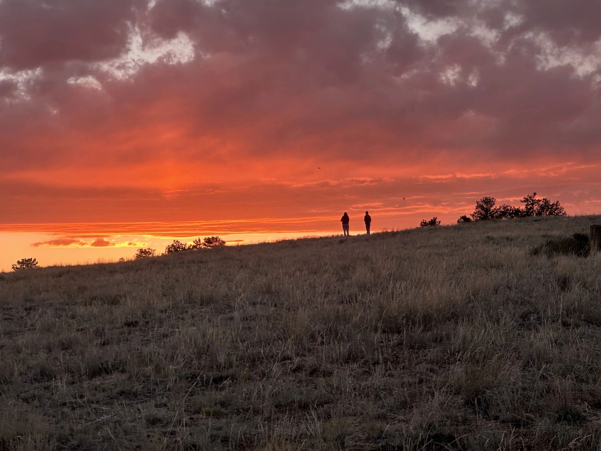 Legacy Group in Fort Collins, Colorado
