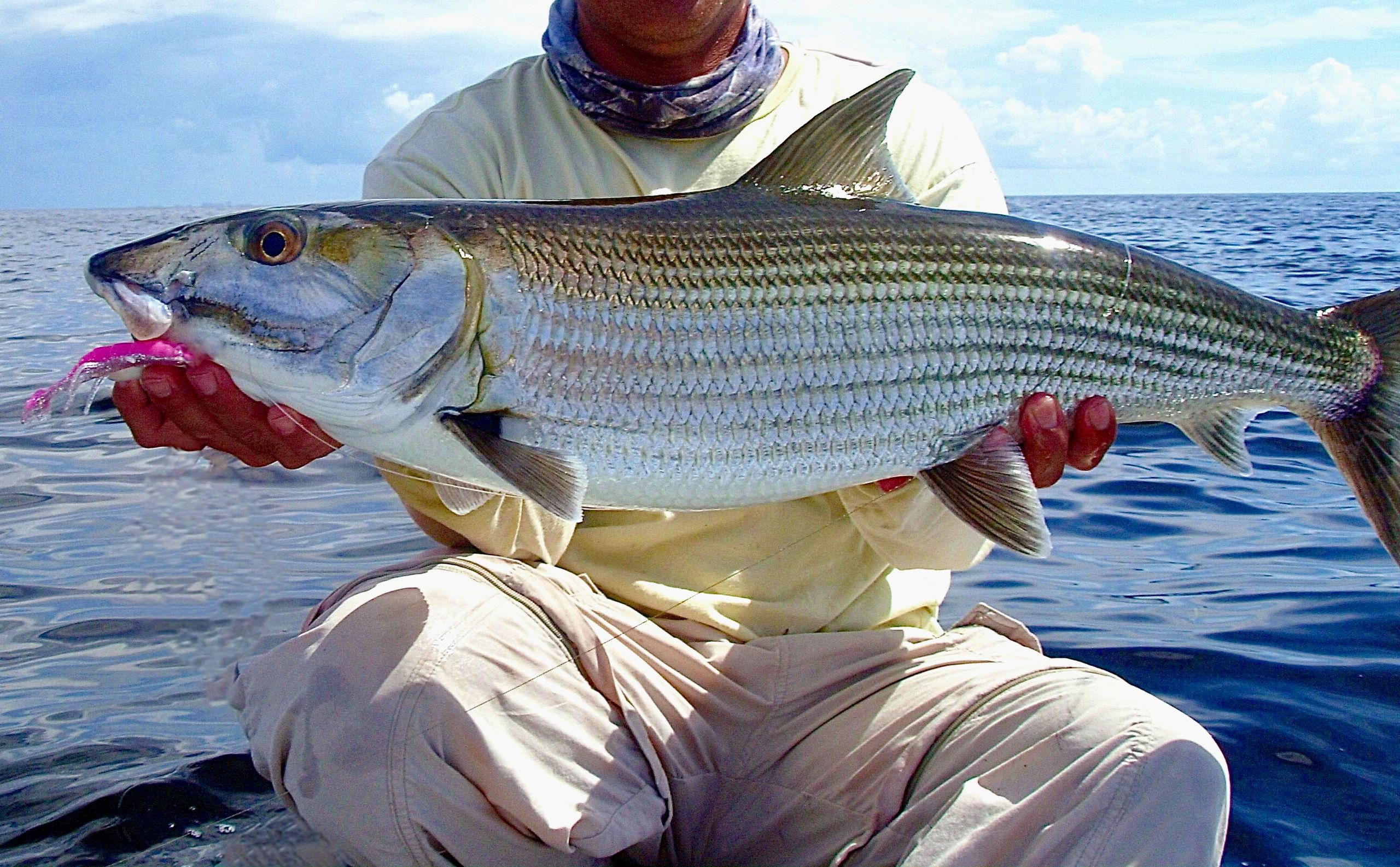 Fish Slayer Charters - Guide, Fishing Guide, Fly Fishing, Red Fish