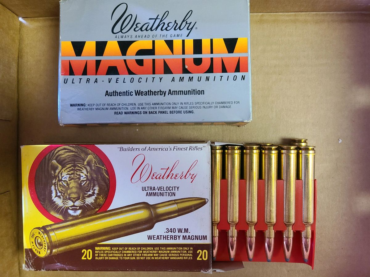 .340 Weatherby Magnum 250 Grain Nosler