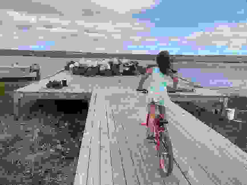 Delta Backhaul Company