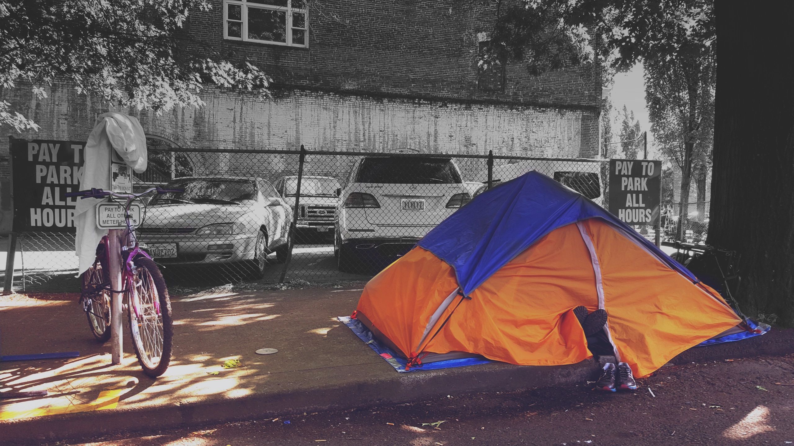 Compassion Connection