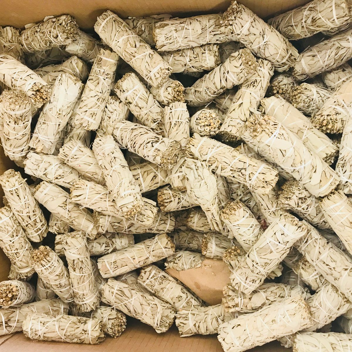Wholesale White Sage 4 Inch (12 Bundles)