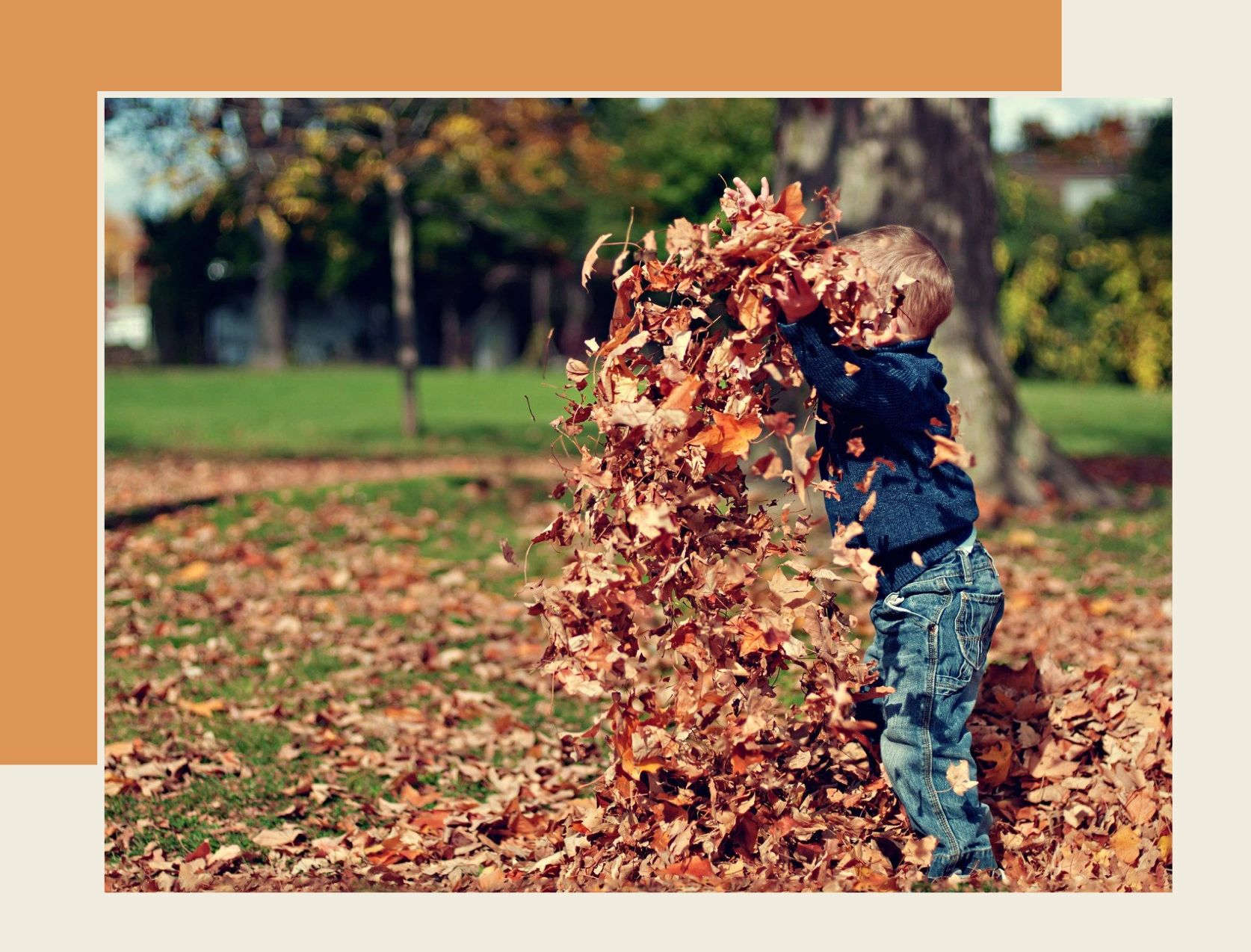 Most Common Fall Allergies to Look Out For