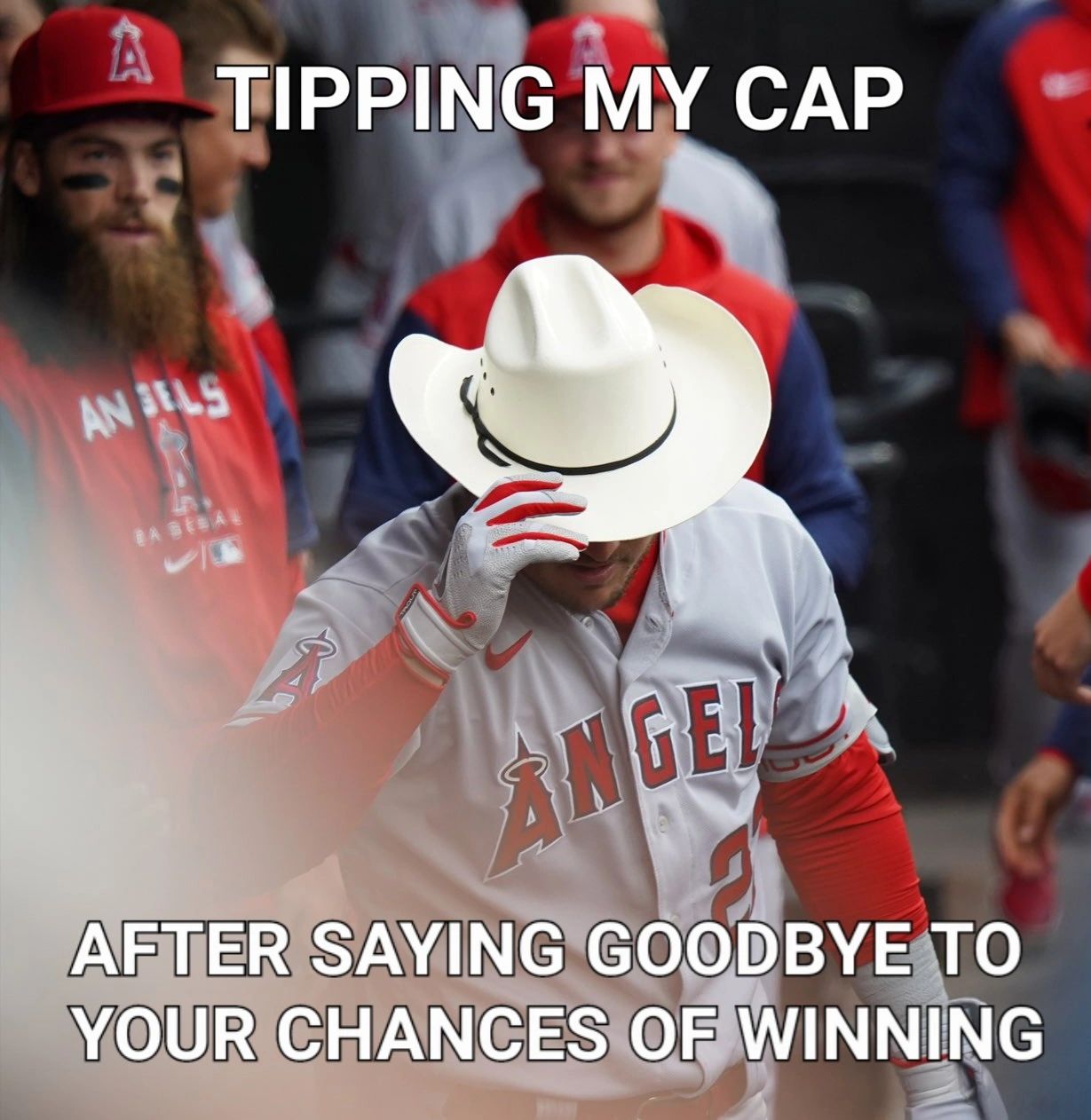 Anaheim Angels Memes
