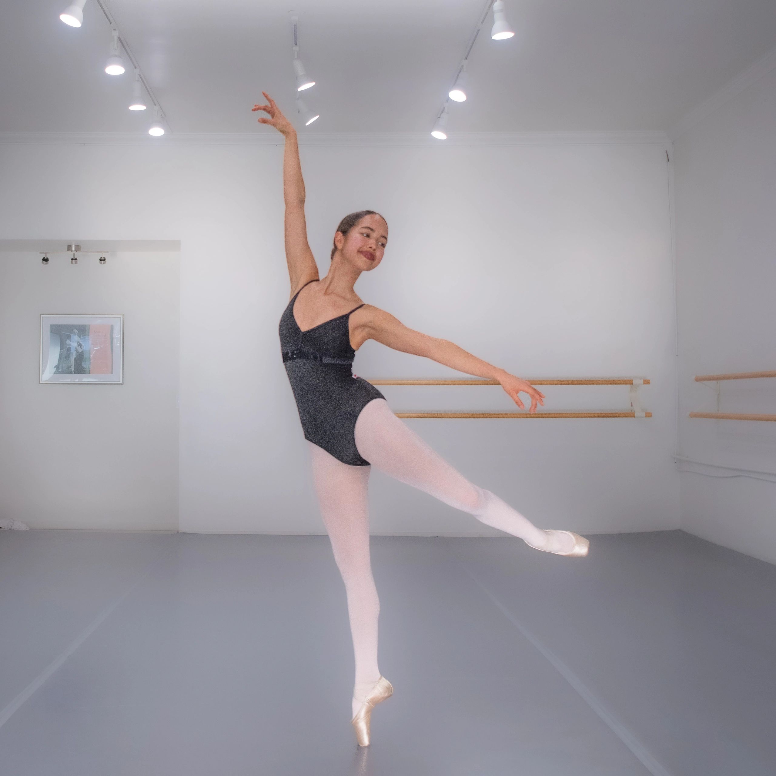 Ballet / Dance - Marin Conservatory of Dance