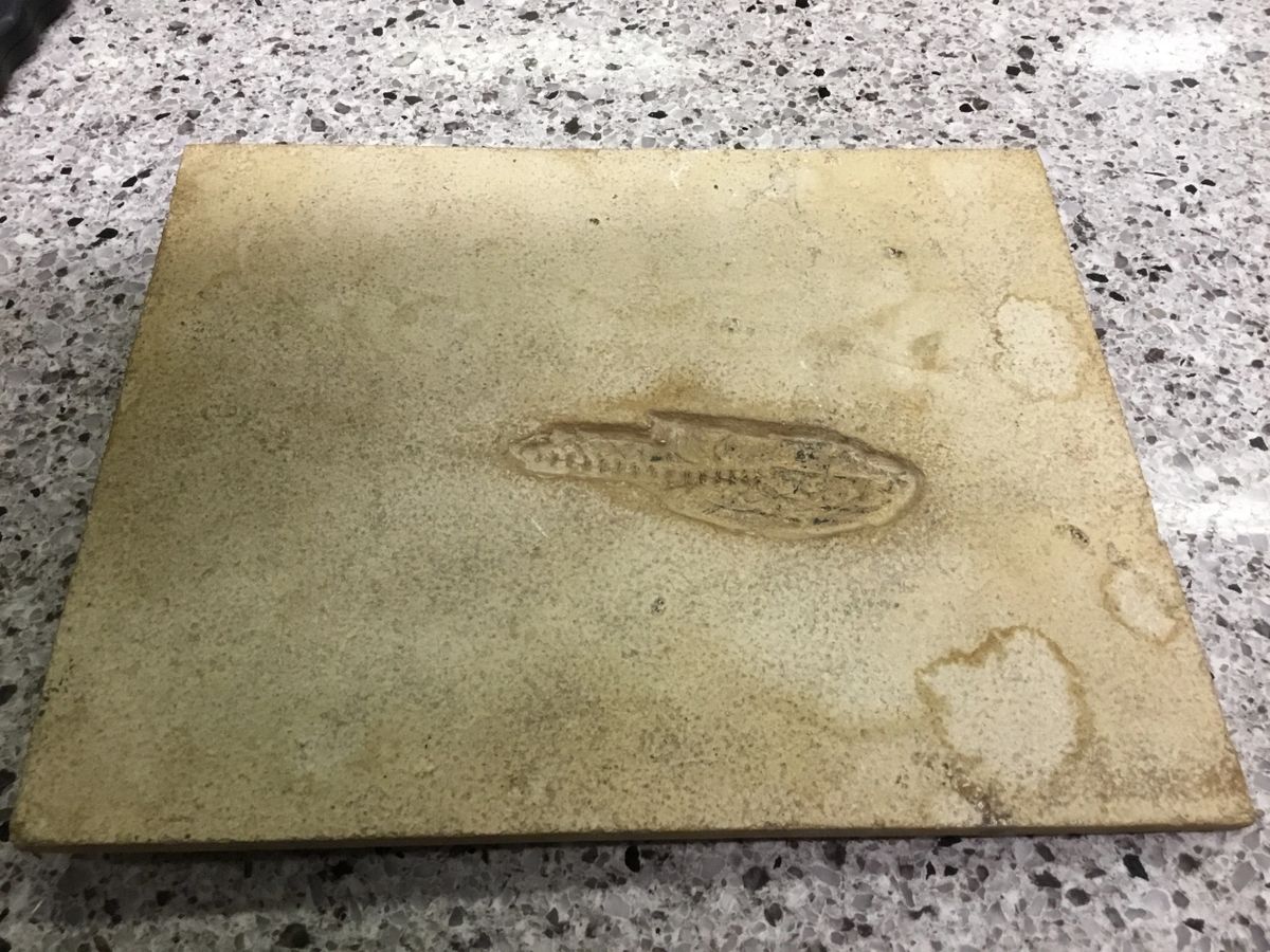2 Fossilized Fish Rock Slab 10”x8” @store