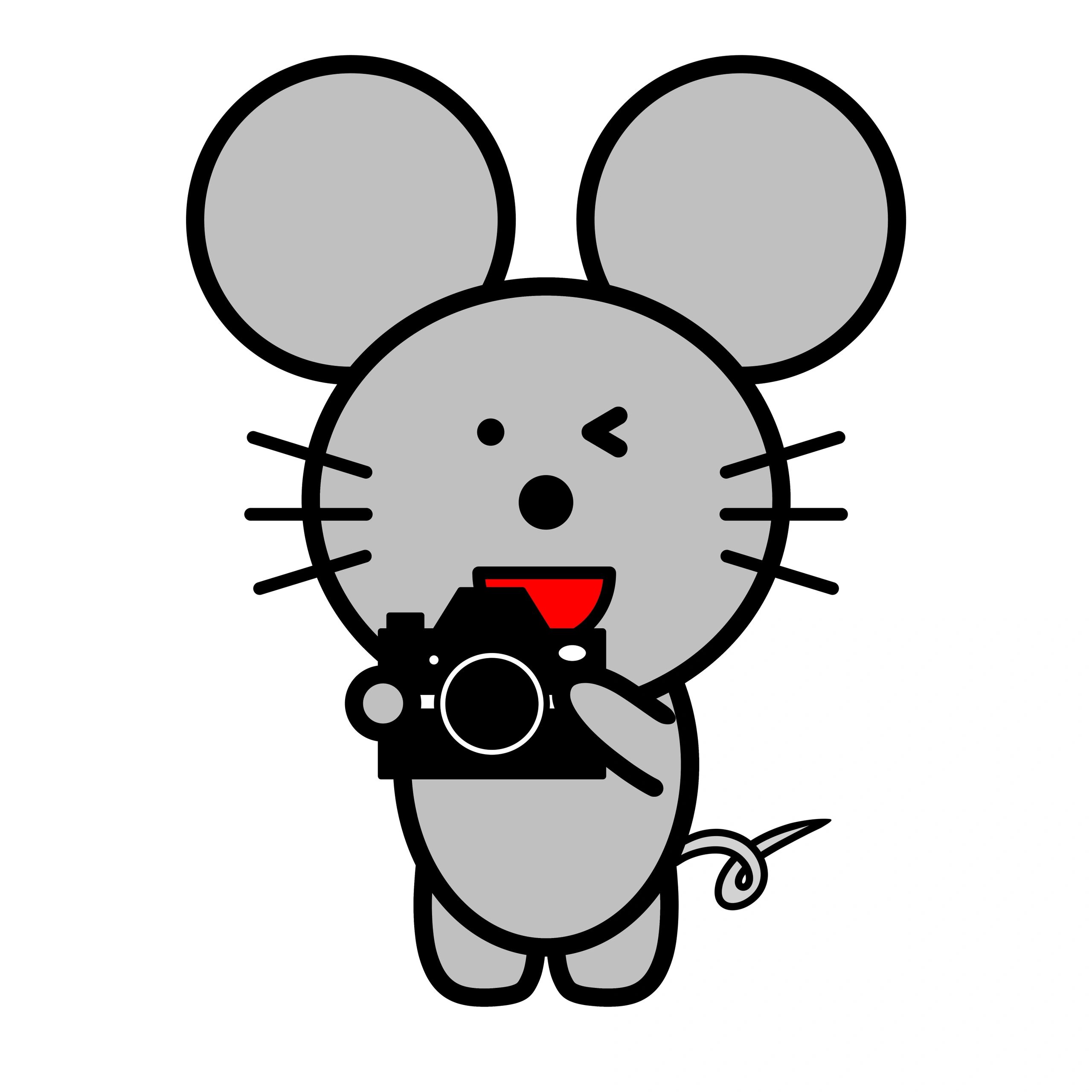 Photo Mouse