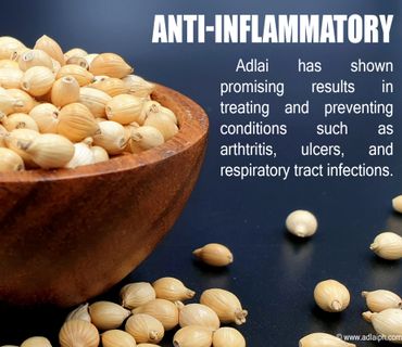 Adlai - Adlaiph | Adlai PH