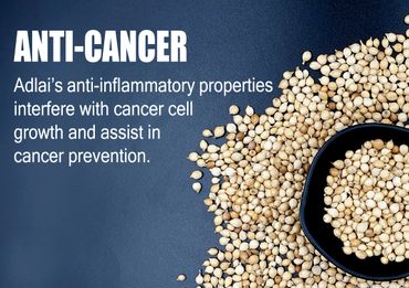 Adlai - Adlaiph | Adlai PH