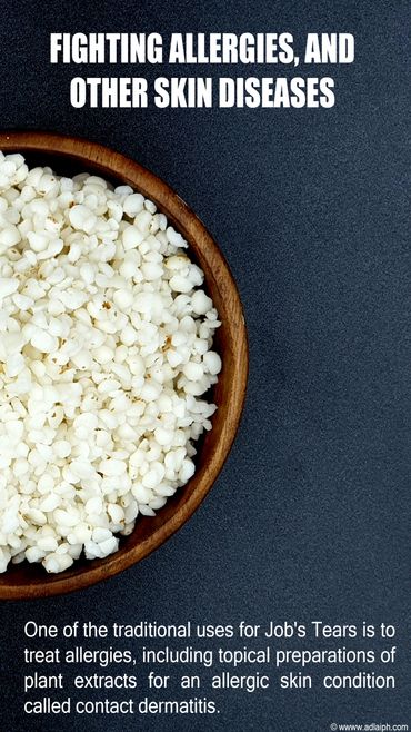 Adlai - Adlaiph | Adlai PH