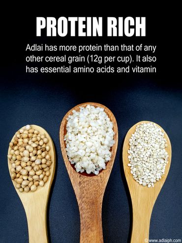 Adlai - Adlaiph | Adlai PH