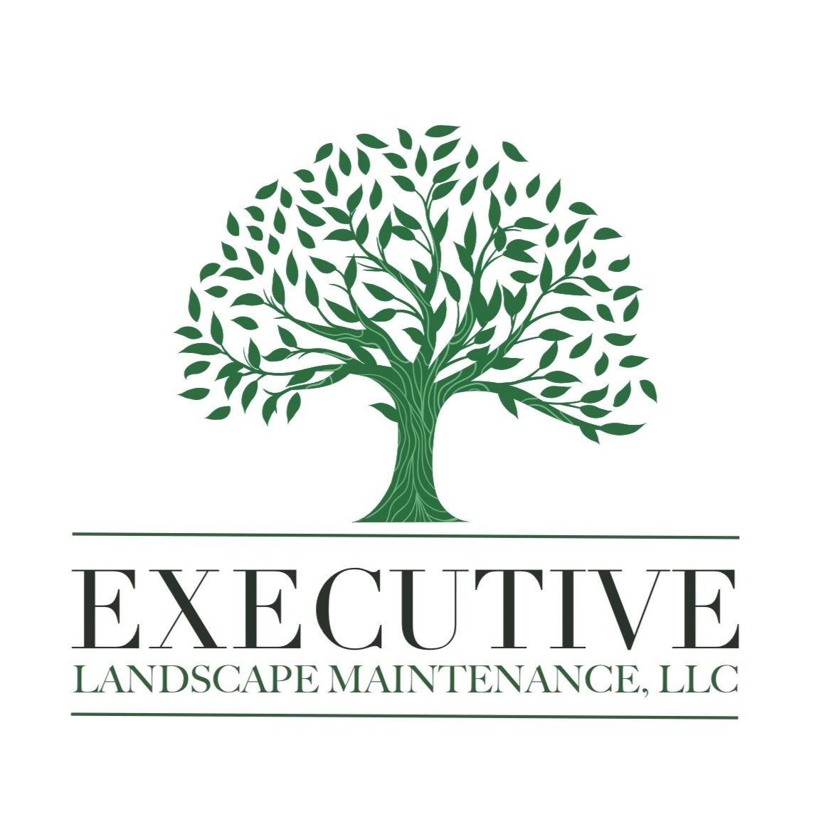 Executive Landscape Maintenance
