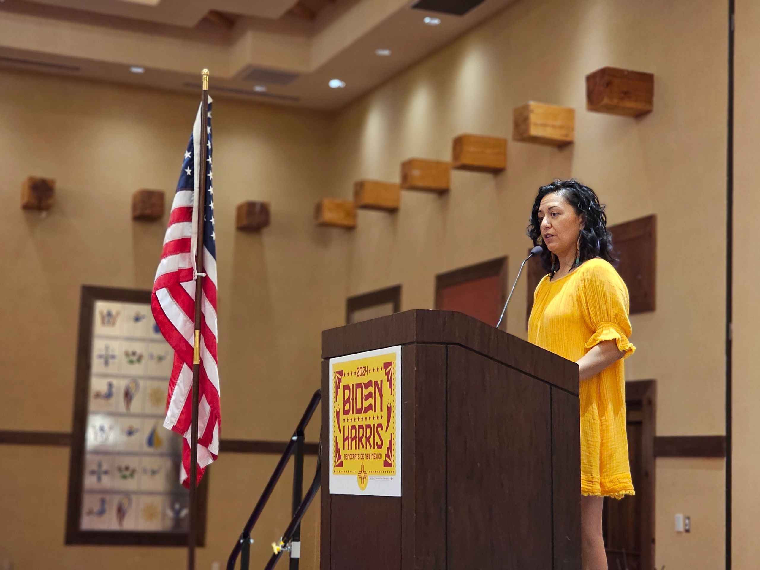 Marisol 4 DPNM Chair: Leading the Democratic Party