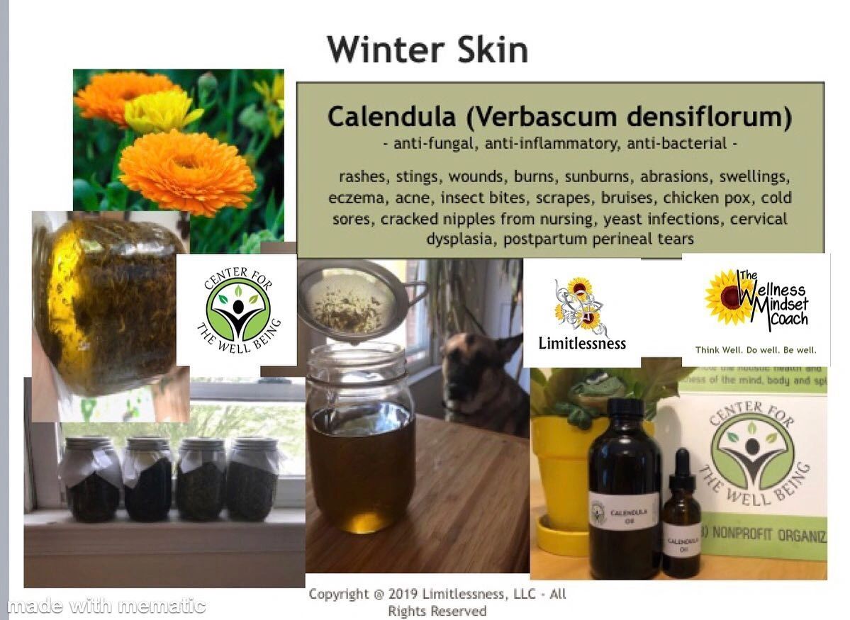Calendula for Winter Skin