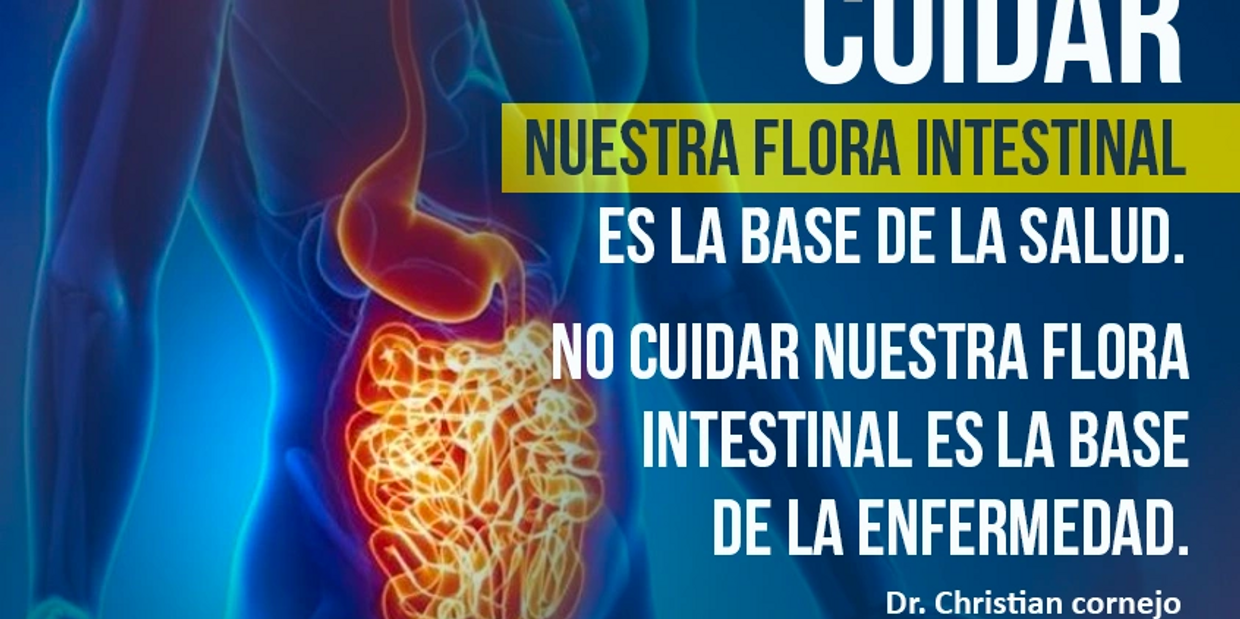 La clave de la salud está en la microbiota intestinal