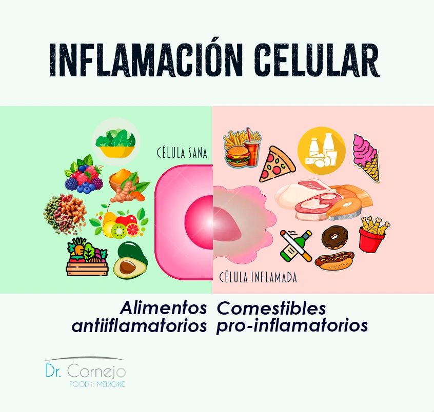 Inflamación celular