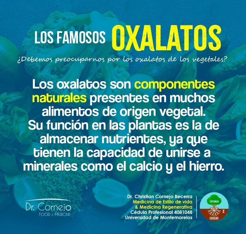 ¿Debemos preocuparnos por los Oxalatos de los vegetales?
