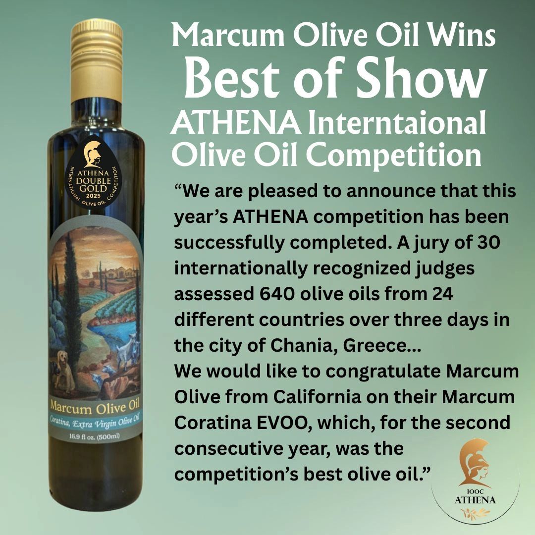 Marcum's Win "Best" Olive Oil at ATHENA International Competition
