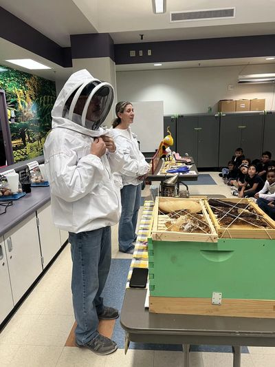 Interactive Beekeeping Workshops in Las Vegas | Vegas Bees