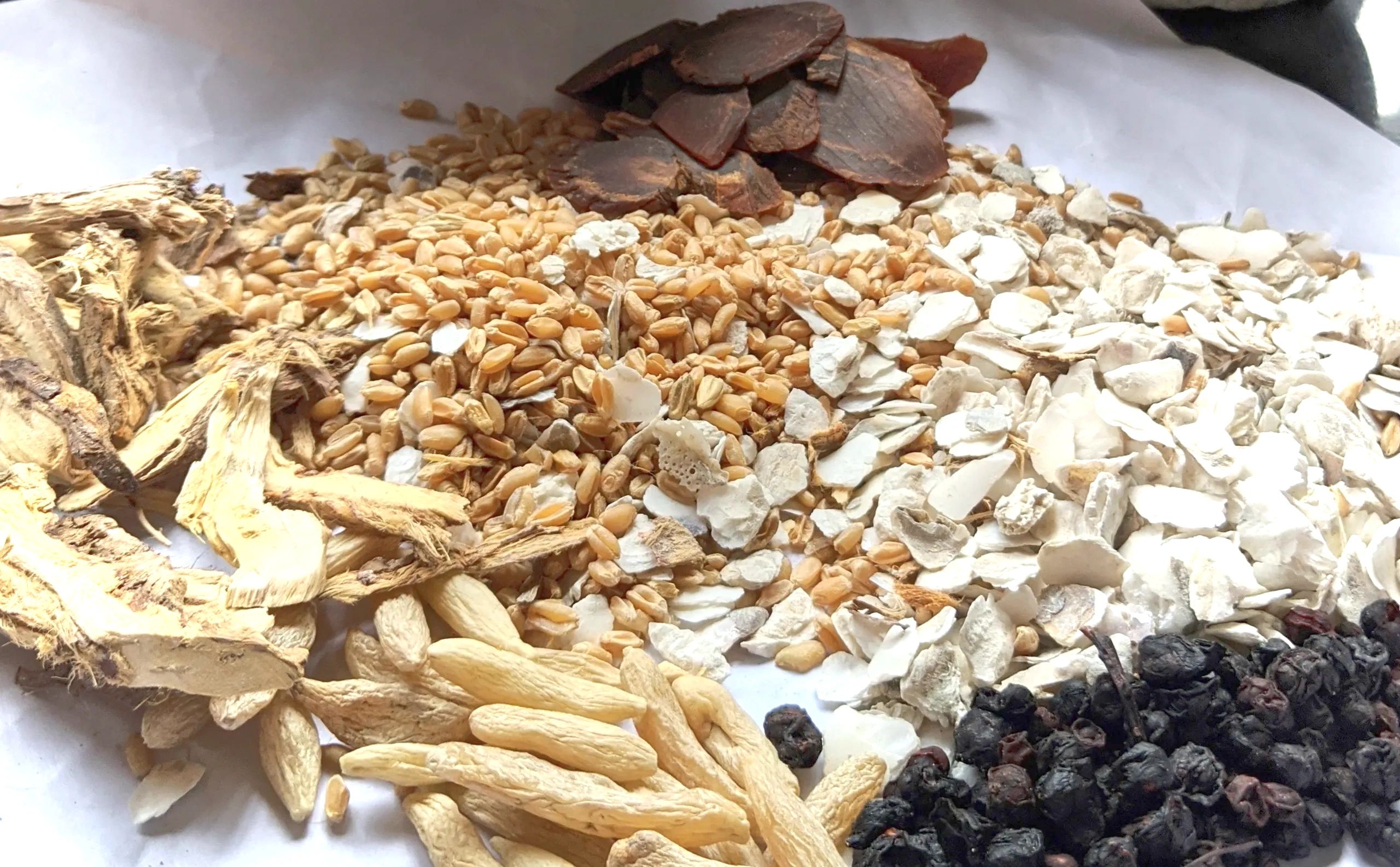 Acupuncture Los Angeles | Holistic Chinese Medicine & Herbal Therapy