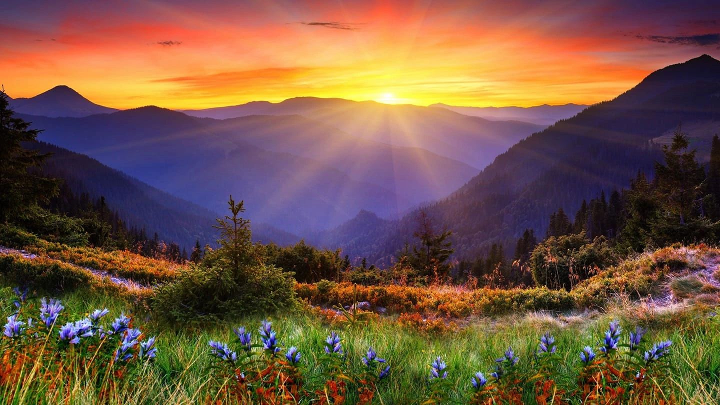 Massage Lymphatic Drainage Horizons Massage Bastrop Texas