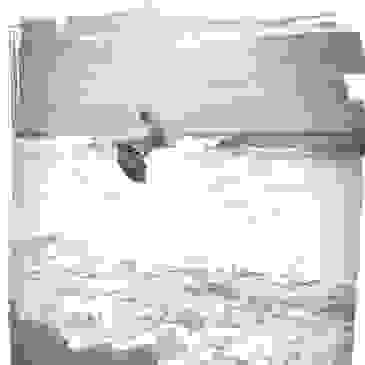 Vacation Home Rentals - OBX Life Rental LLC