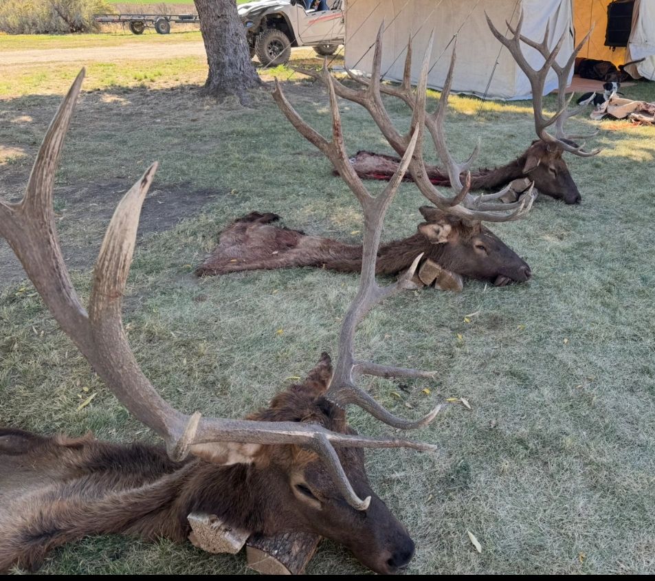 Archery Elements LLC