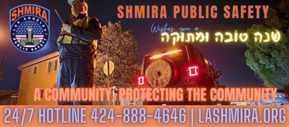 Shmira Public Safety