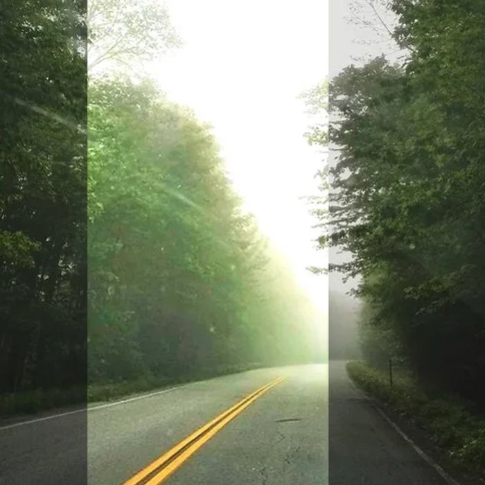 The Recovery Connection