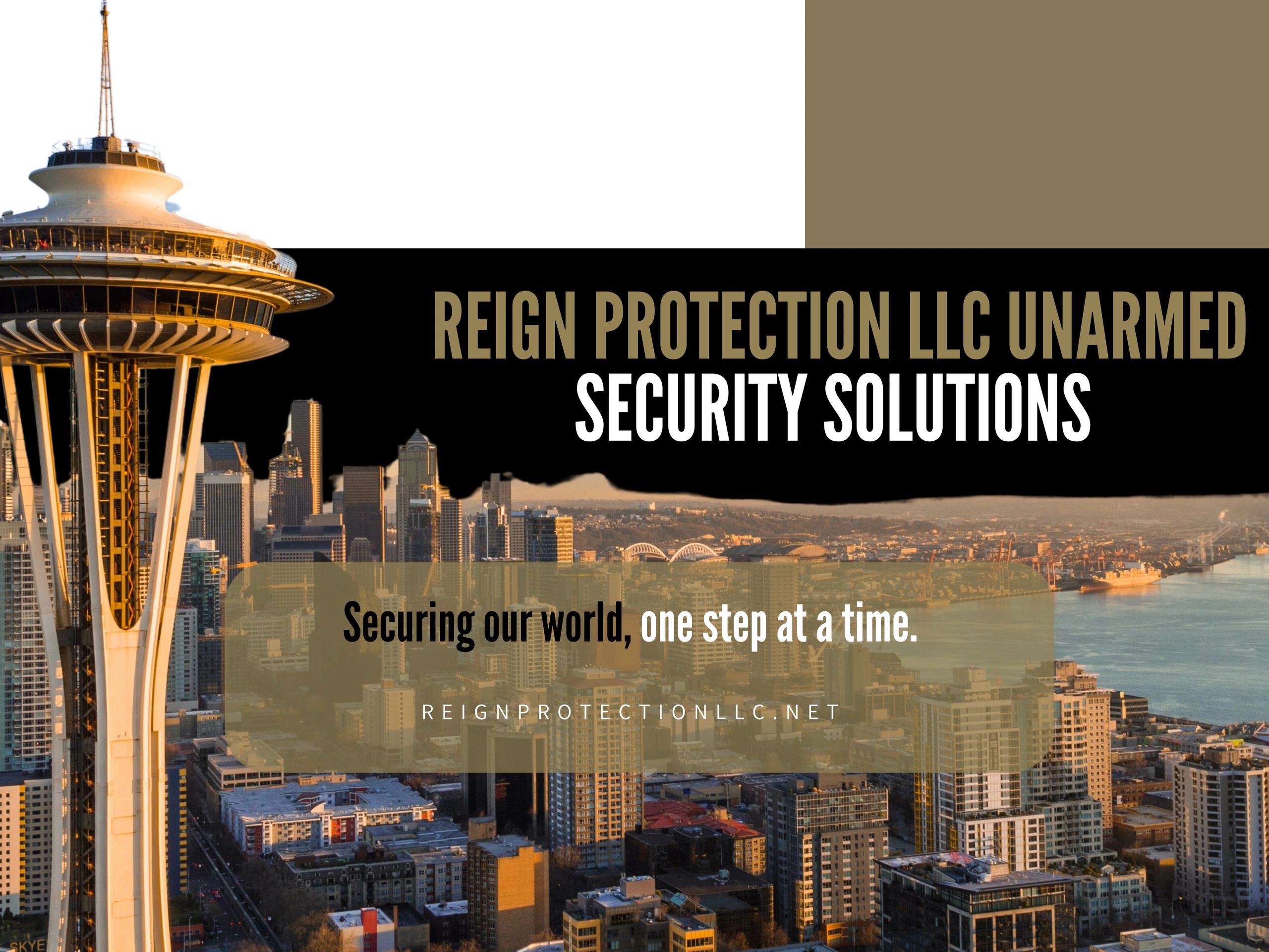 Professional Security Guard Services