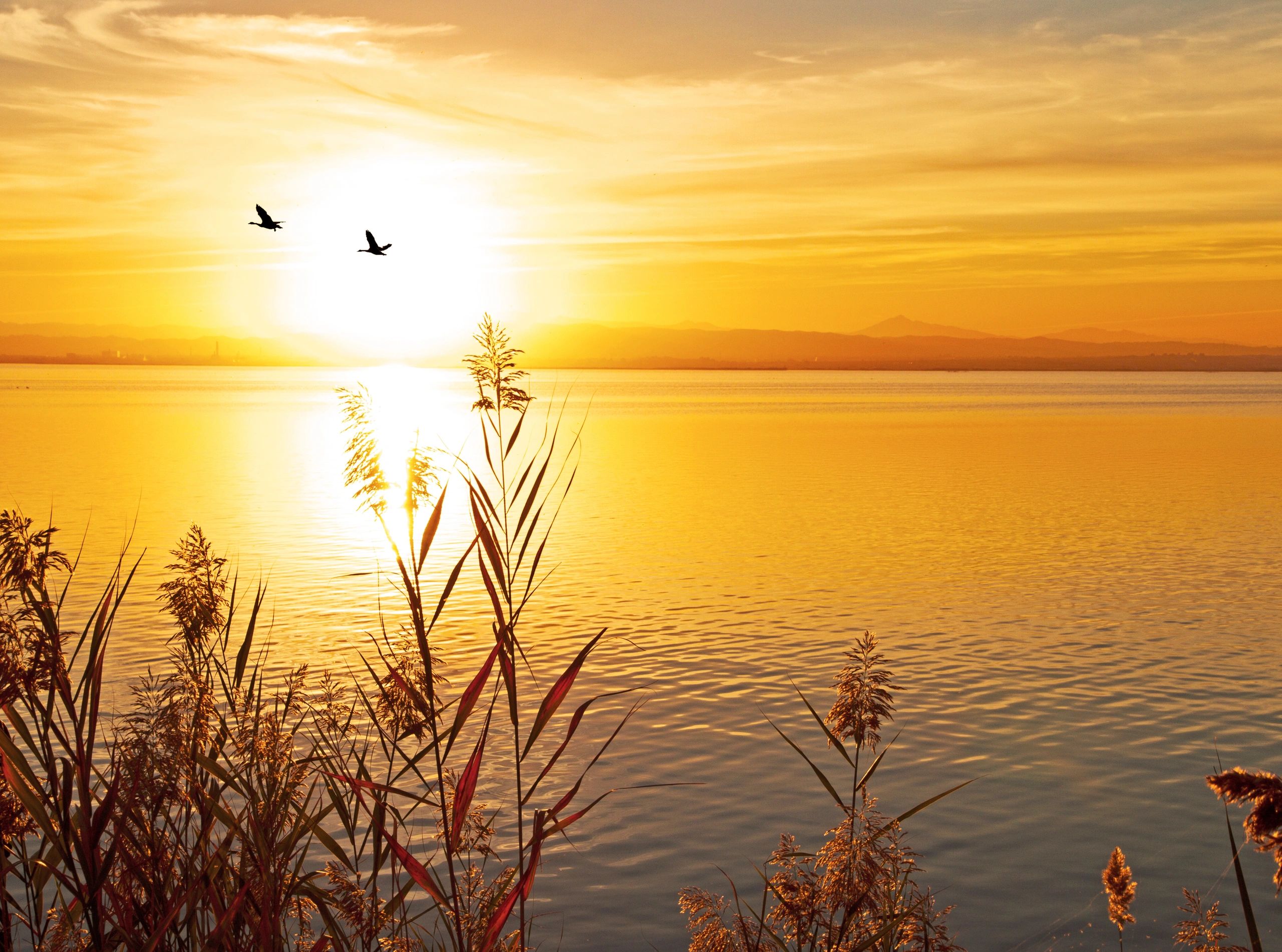 Steere House Nursing & Rehabilitation Center