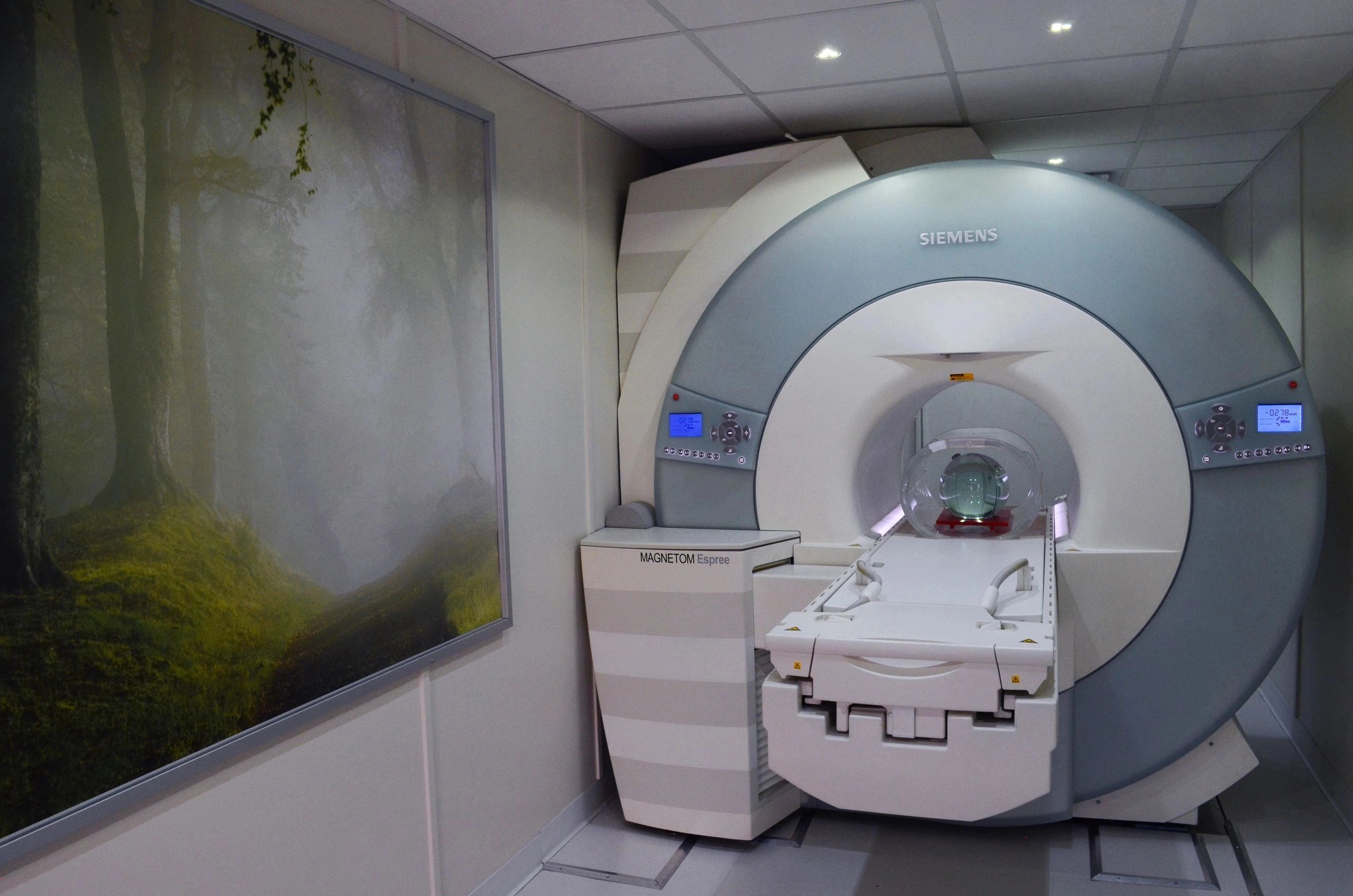 3 Types of MRI and the Difference Between an Open MRI vs a Closed