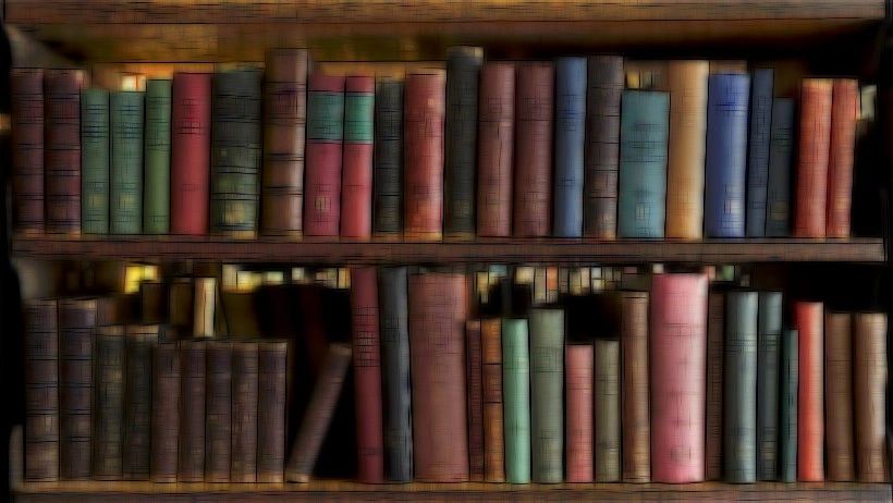 Coffee Shop, Cafe, Book Bar - Novel - Portland, Maine