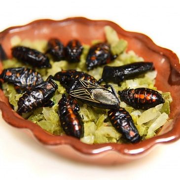 La Cocina de San Juan - Gastronomia Exotica, Gastronomia Prehispanica ...