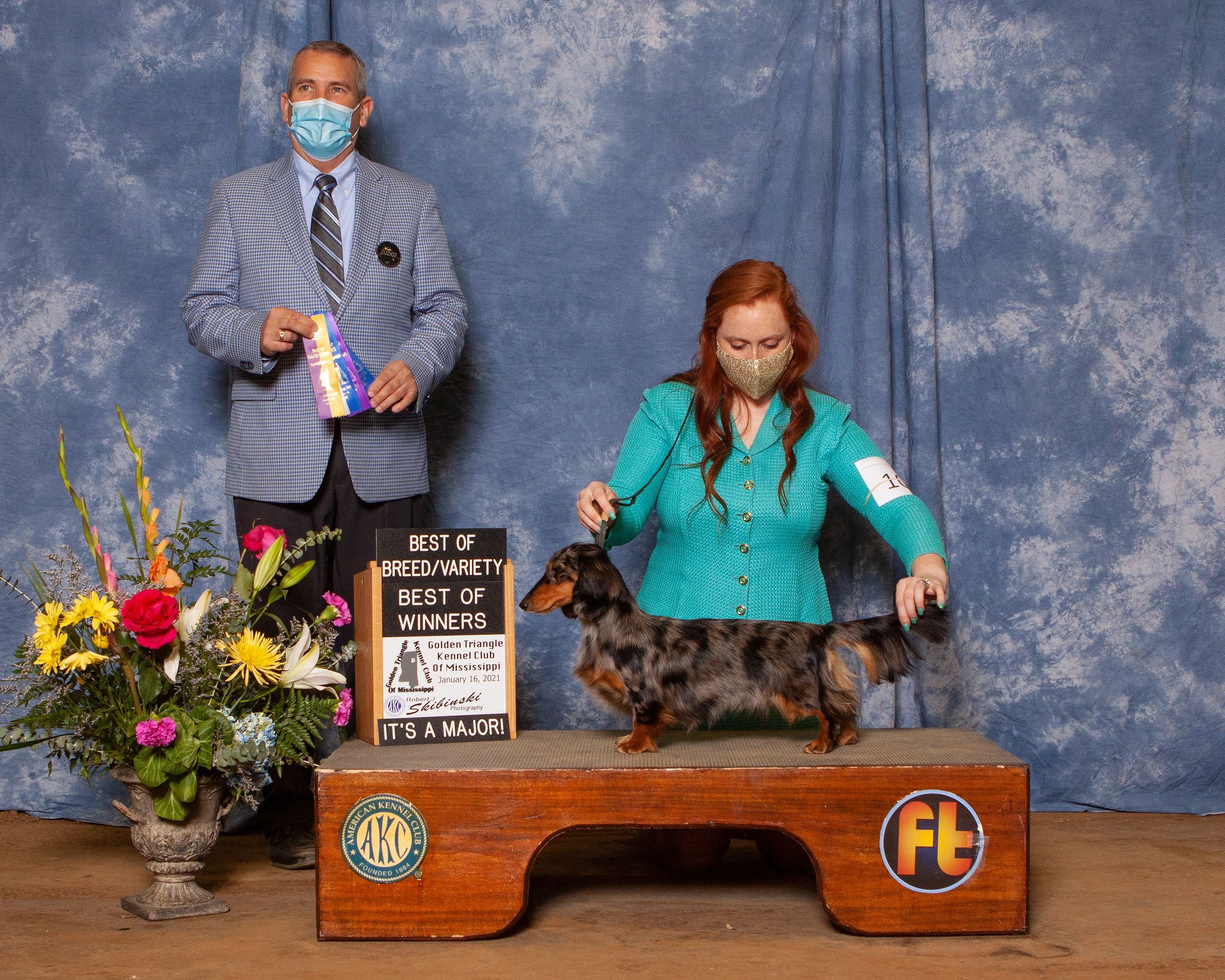 Congratulations Magio