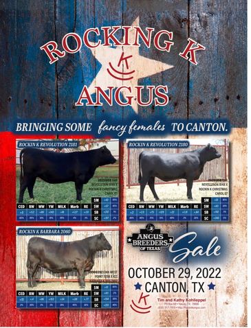 Rockin K Angus - Registered Angus Cattle, Angus Bulls