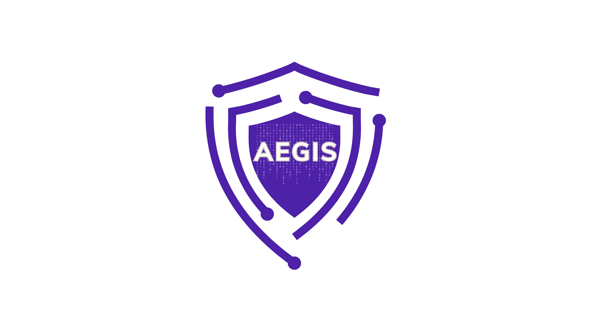 Decentralized Data Storage Solutions | Aegis Net