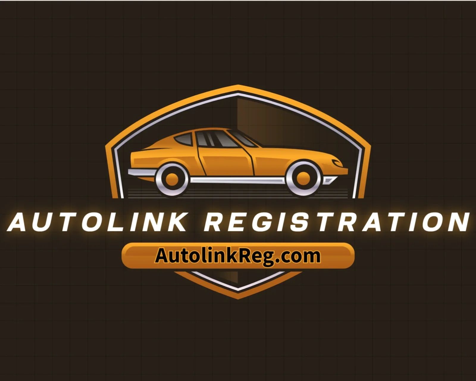 AUTOLINK REGISTRATION SERVICES