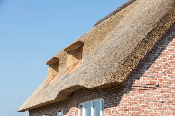 Thatched Buildings Fire Protection - Fire Safety Technical Note