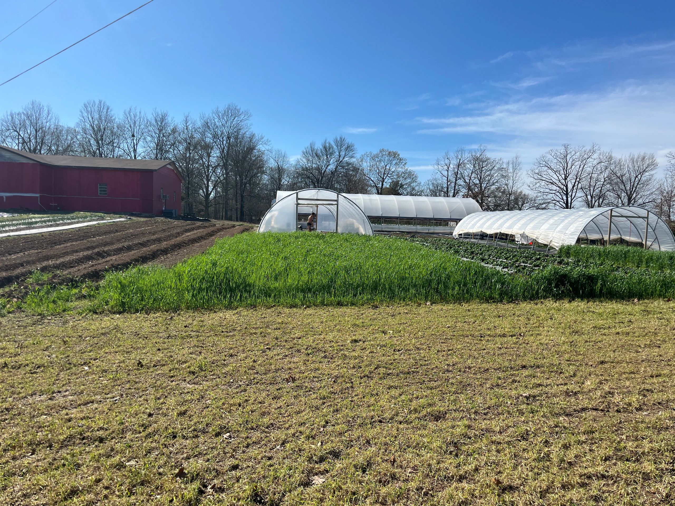Our Farm