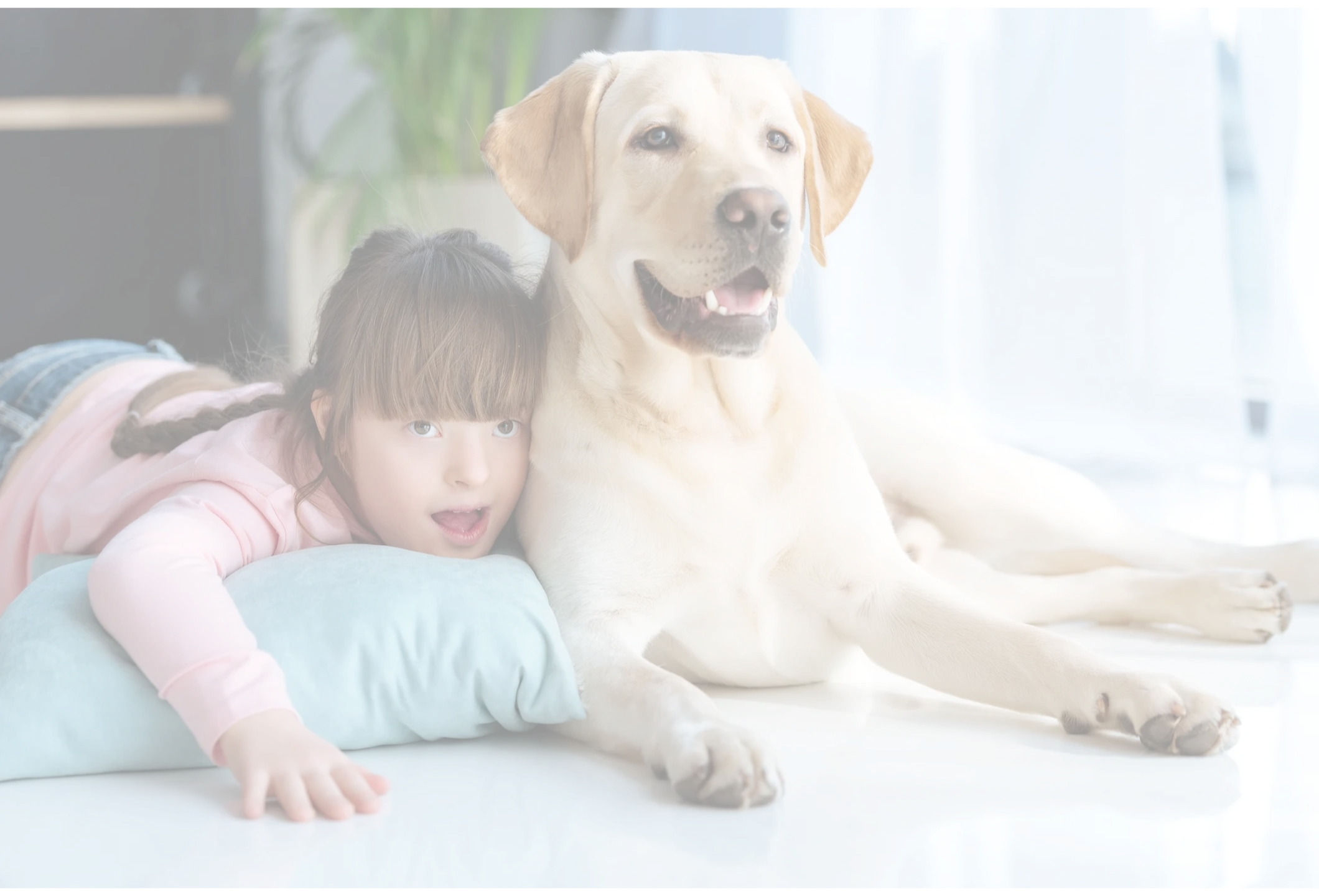 Good Shepherd - Good Shepherd Support Services