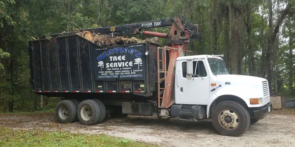 Tree Removal and Trimming Experts