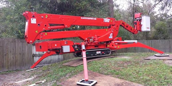 Tree Removal and Trimming Experts