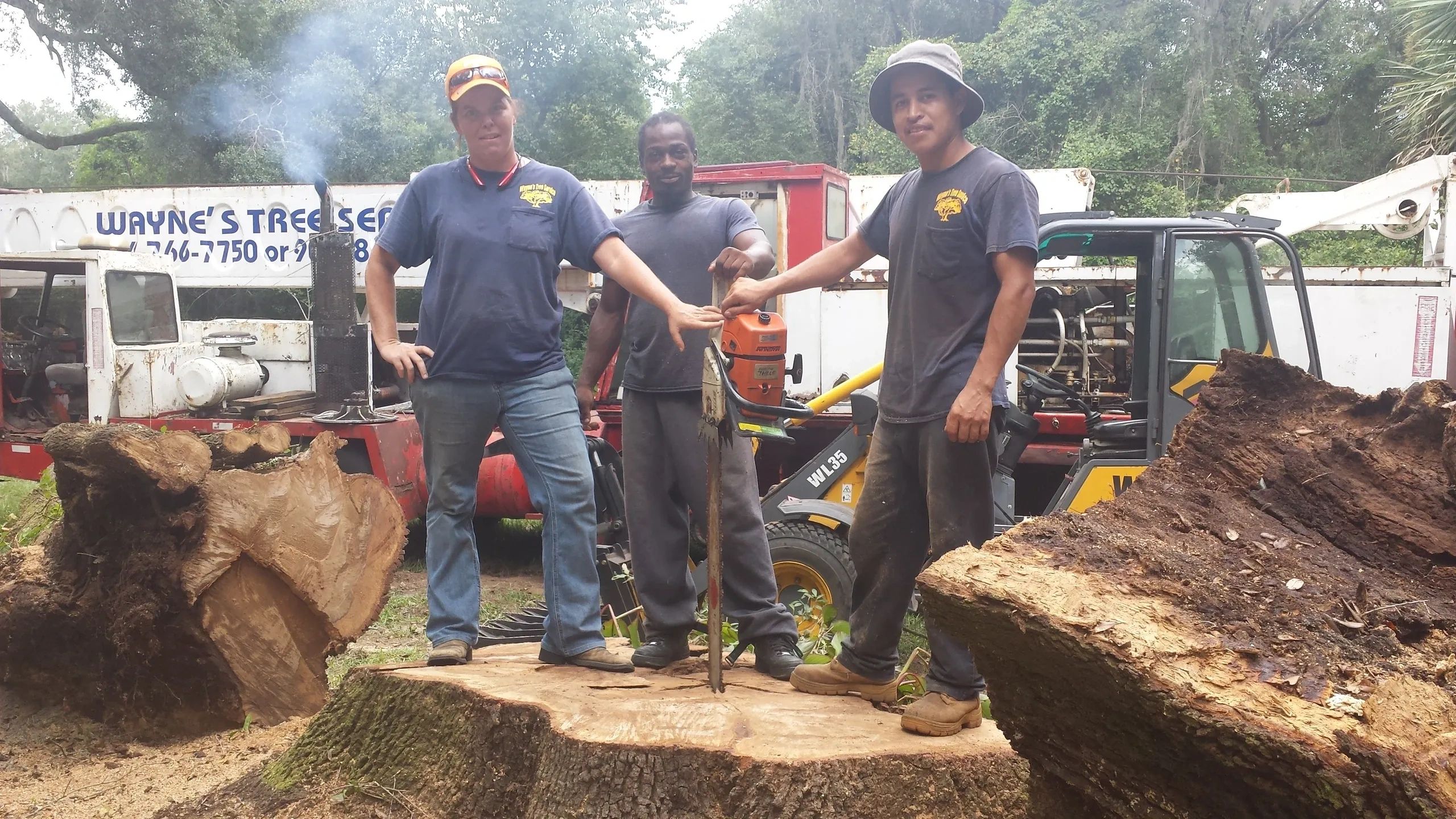 Tree Removal and Trimming Experts