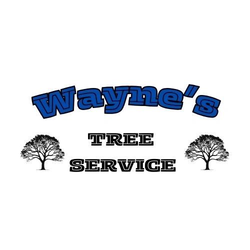 Tree Removal and Trimming Experts