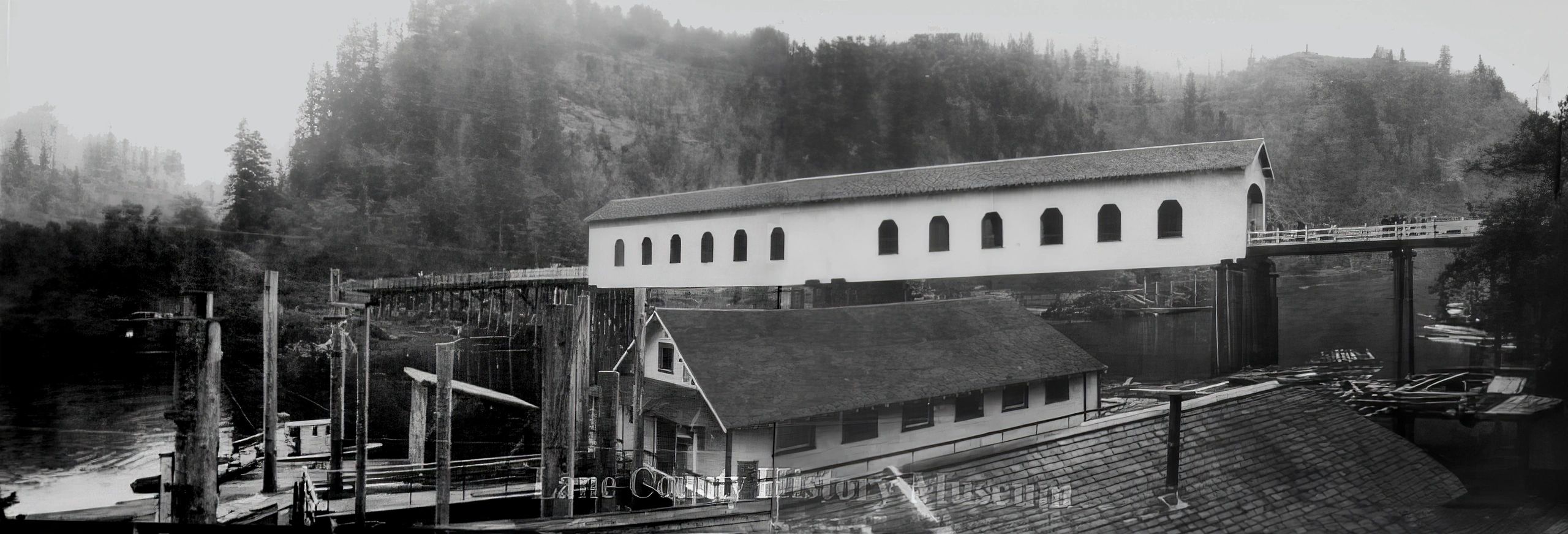 Siuslaw River is a Very Rich Ecosystem