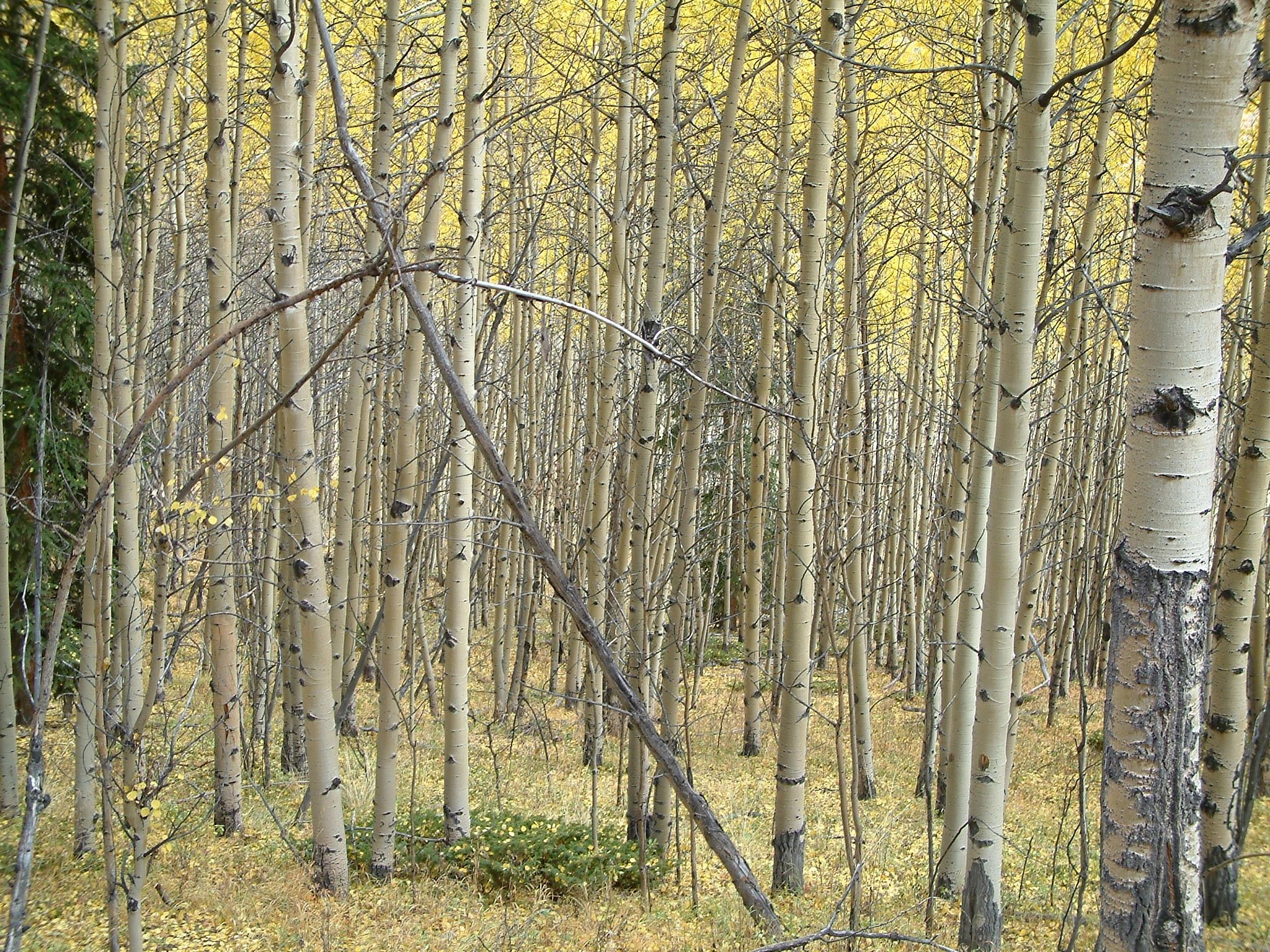 Navigating New Beginnings