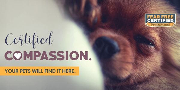 Peaceful Pets At Home Veterinary Care - At Home Vet, Pet Euthanasia