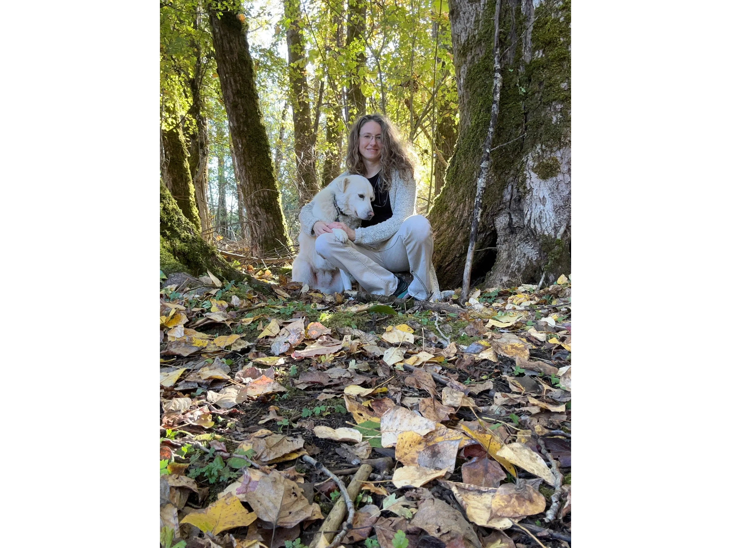 Peaceful Pets At Home Veterinary Care - At Home Vet, Pet Euthanasia